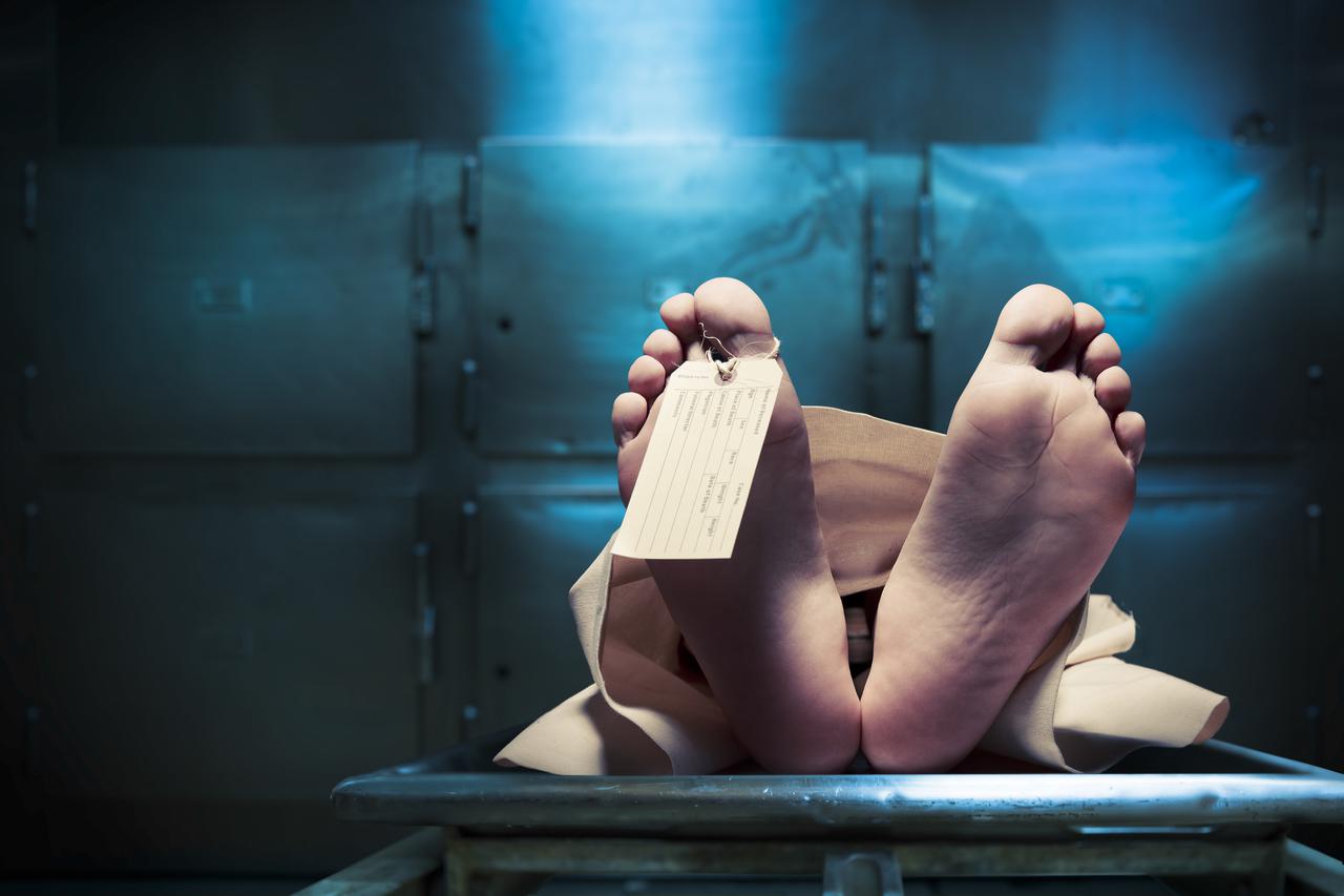 Kako se tijelo raspada nakon smrti: Biološki procesi i njihov utjecaj ... Kako se tijelo raspada nakon smrti: Biološki procesi i njihov utjecaj ...